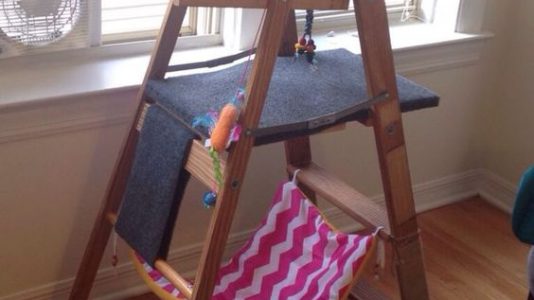 DIY Cat Tree From Old Ladder - Lucky Ferals