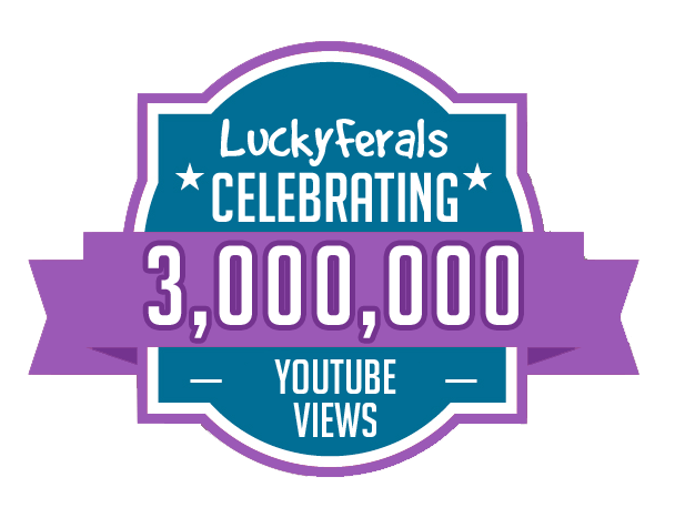 Celebrating 3 Million Video Views On YouTube! - Lucky Ferals